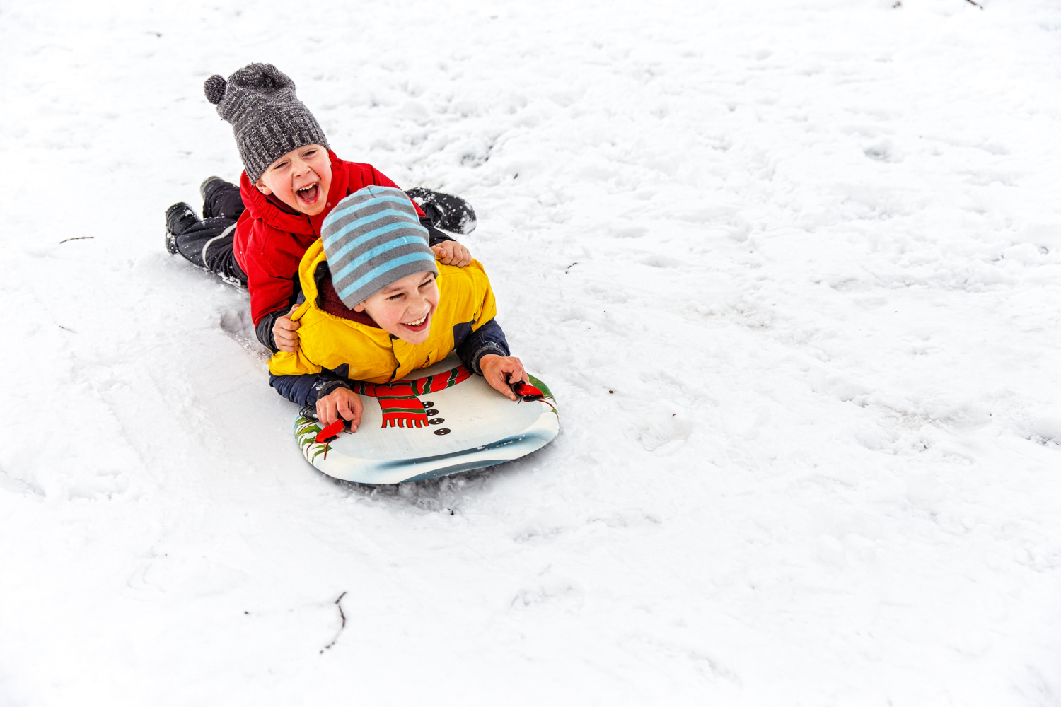 Let's Go Sledding - BGV Confirmations